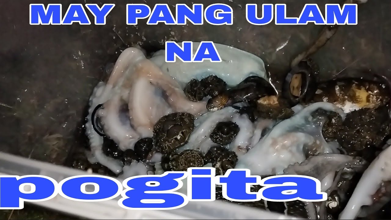 NAG ILAW KAMI SA GASANGAN AT HIBASAN KASAMA SI SUPER ANDOY PARA MAY ...