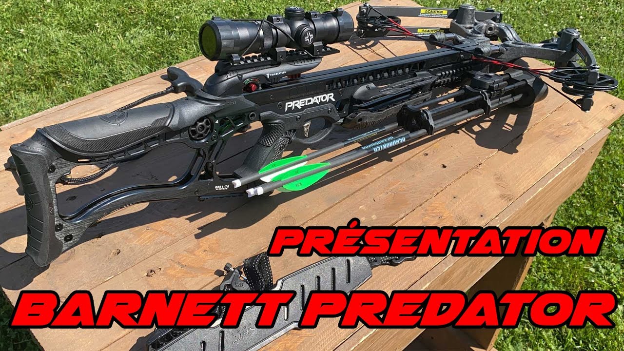 Présentation rapide de l'arbalète Barnett Predator - la Ferrari des ...