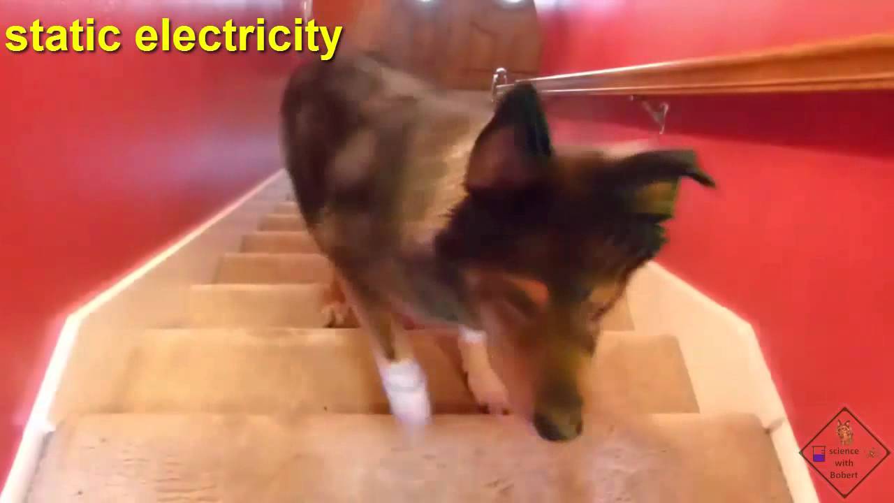 funny introduction static electricity a science with bobert video short ...