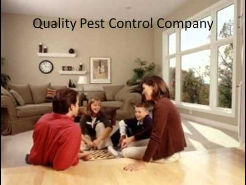 Spectrum Pest Control - YouTube