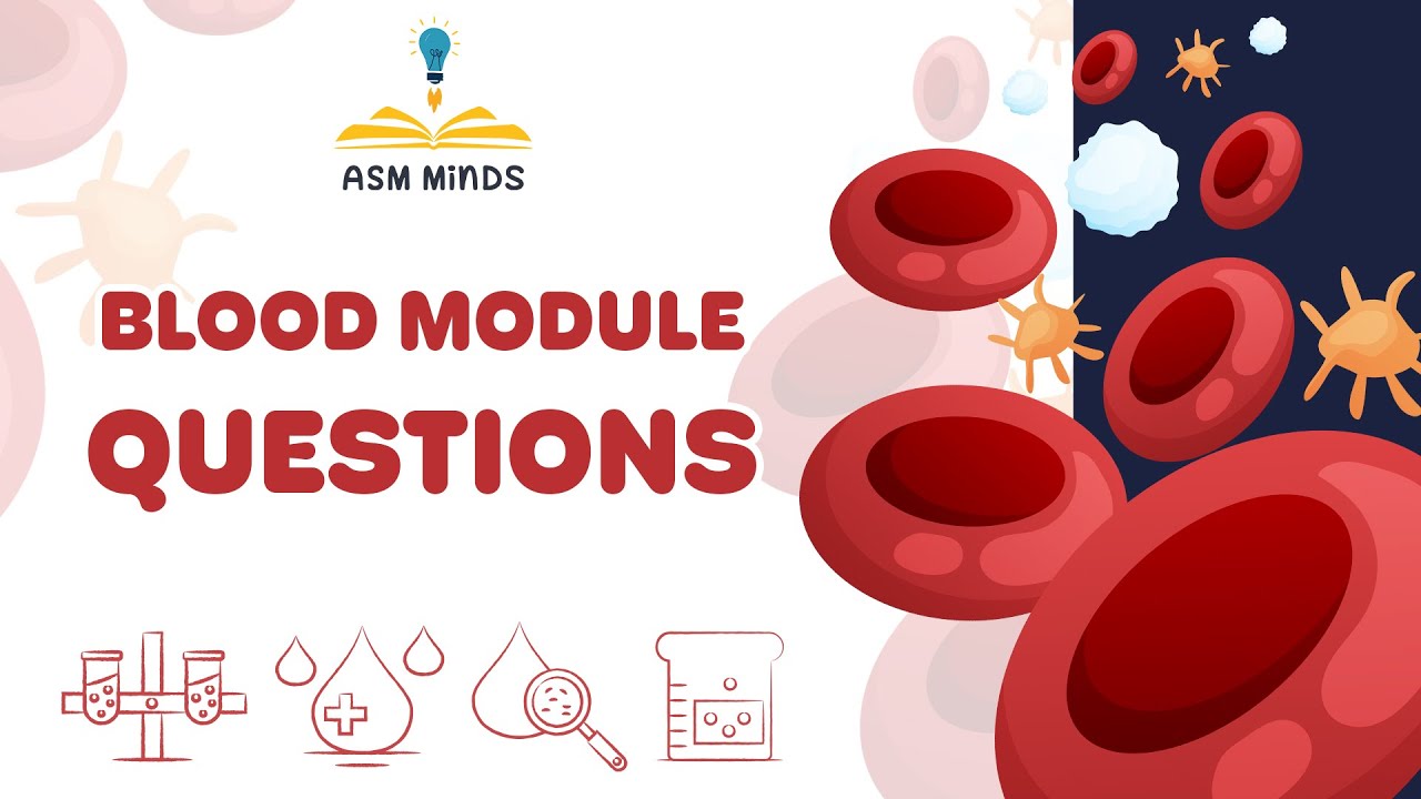 Blood module questions (blood physiology) - YouTube