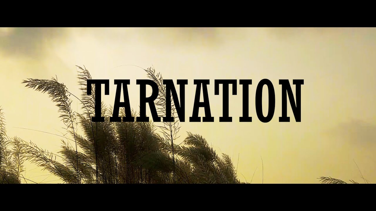 Tarnation - Graduate Short Film - YouTube