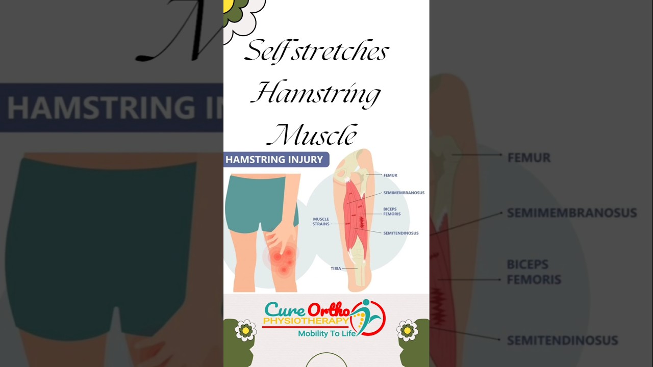 Hamstring injury and Stretches #knee pain exercise and stretches - YouTube