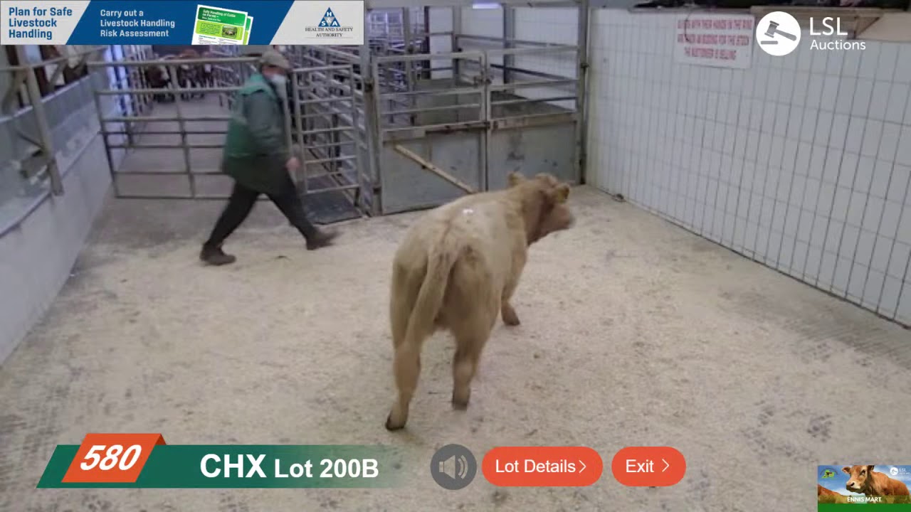 LSL Auctions Live Stream 03-11 - YouTube