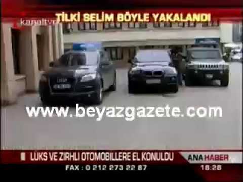 tilki selim ışık