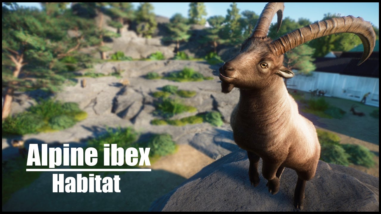 🐐Alpine ibex habitat | Bergenia zoo | Planet Zoo | speedbuild🌳 - YouTube