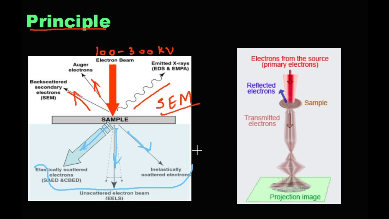 TEM Introduction ,Principle , Instrumentation and applications - YouTube