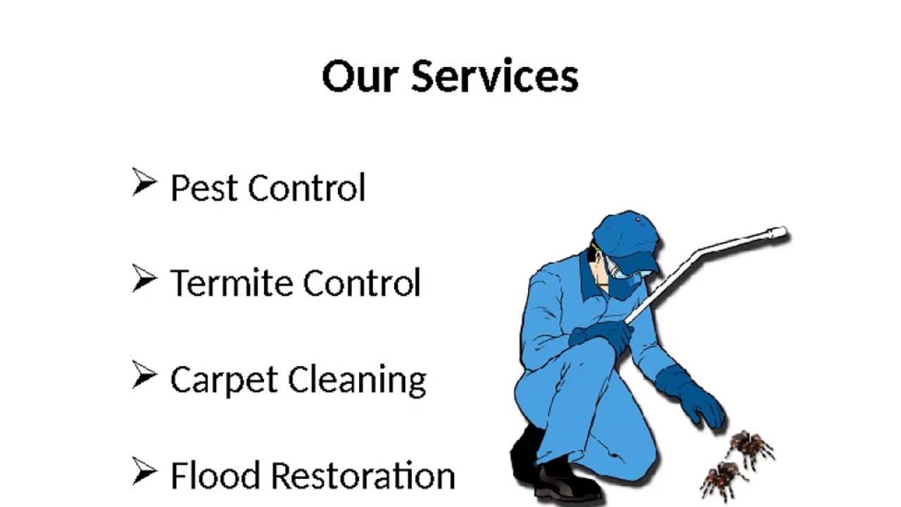 An Overview of Pestx Pest Control - YouTube