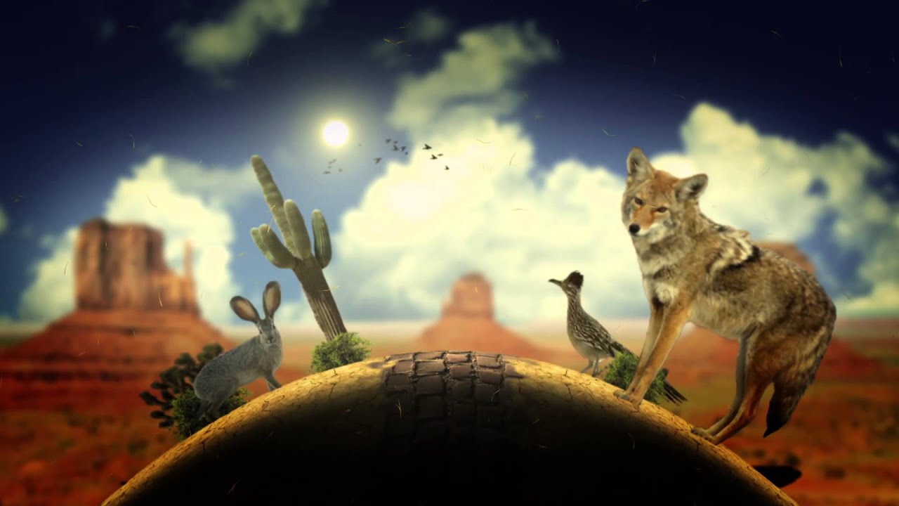 Explore the Wild Trailer - YouTube