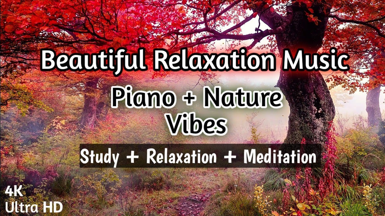 Beautiful Relaxing Music • Peaceful Piano Music + Nature Vibes For ...