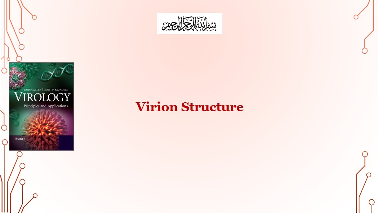 The Architecture of Viruses: Understanding Virion Structure and ...