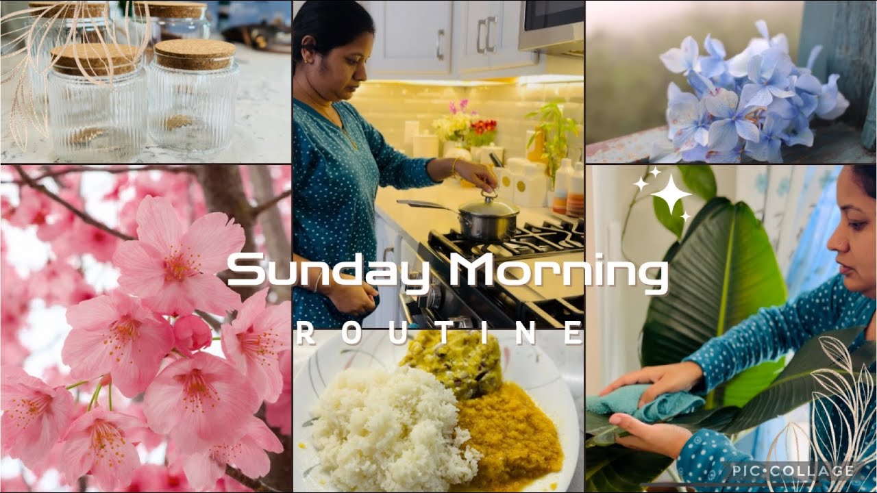 Sunday হলেও দিনটা কাটলো ব্যাস্ততার সাথে || Sunday Morning Routine ...