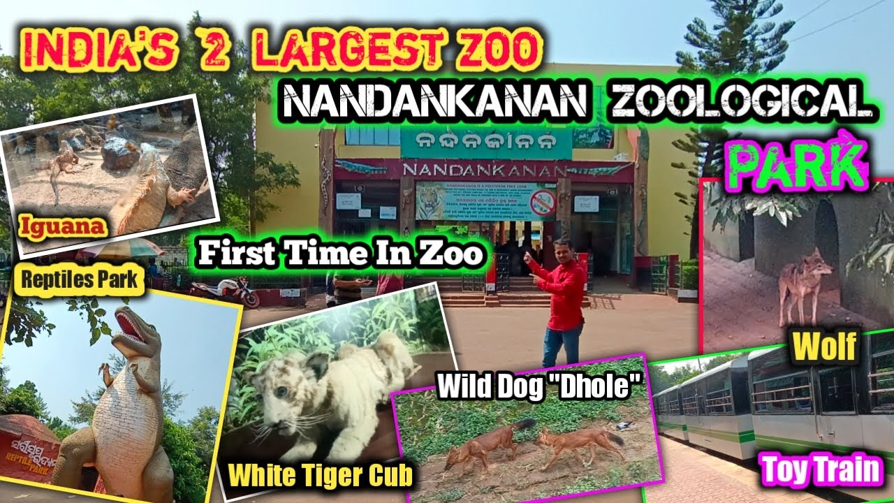 Nandankanan Zoo / India's 2 Largest Zoo / Zoological Park Odisha ...