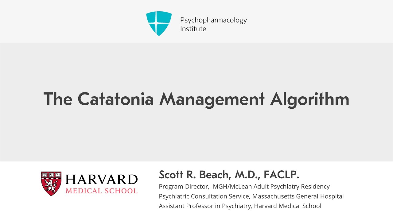 Step by Step Through the Catatonia Algorithm - YouTube