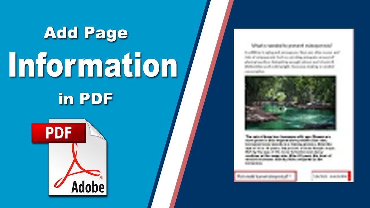 How to Add Page Information to a PDF File with Adobe Acrobat Pro 2020 ...