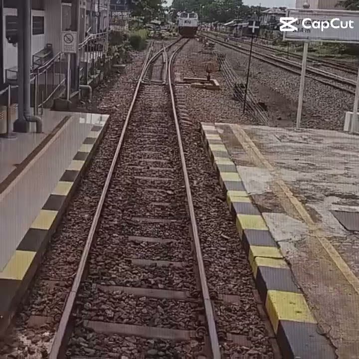 sampai jumpa kota Bogor sebentar lagi berpisah aku akan kecinanjur ...
