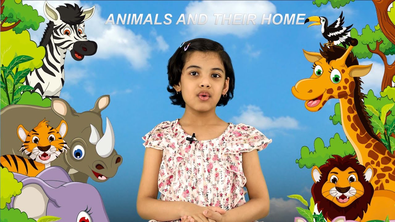 Animals and their homes with Aazeen #animals #animalshome # ...