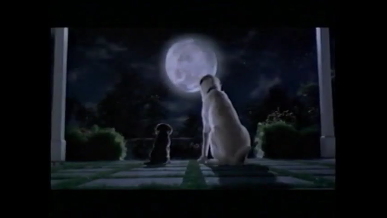 Cats & Dogs (2001) Theatrical Trailer (VHS Capture) - YouTube