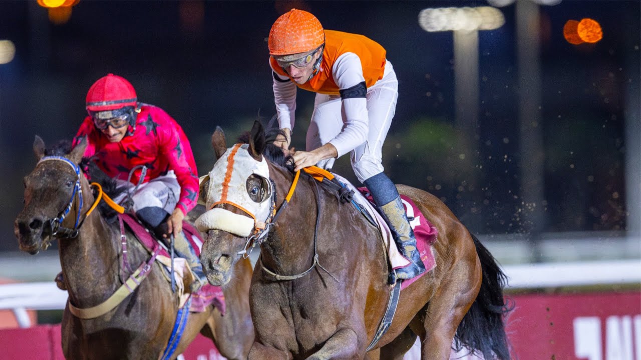 RM 36 Al Rayyan Race 3- Rodat Al Maida Cup - YouTube