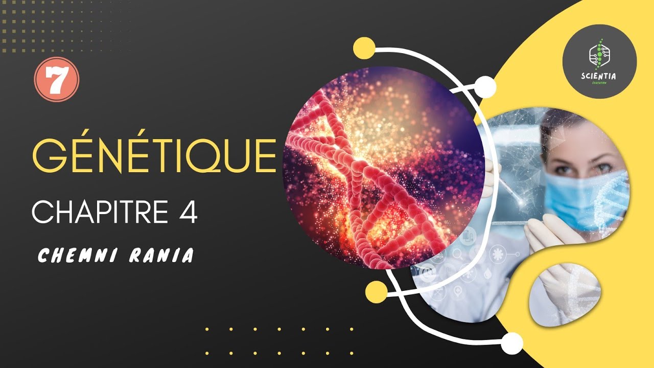 14-genetique : les diploïdes. - YouTube