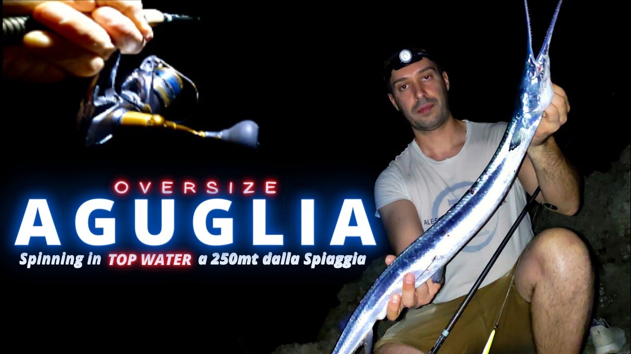 SPINNING || AGUGLIA XXL in Top Water dalla Scogliera 😱 - YouTube