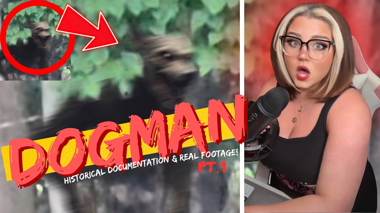 5 DOGMAN ENCOUNTERS To Watch on a COLD, RAINY DAY| History of Dogman ...