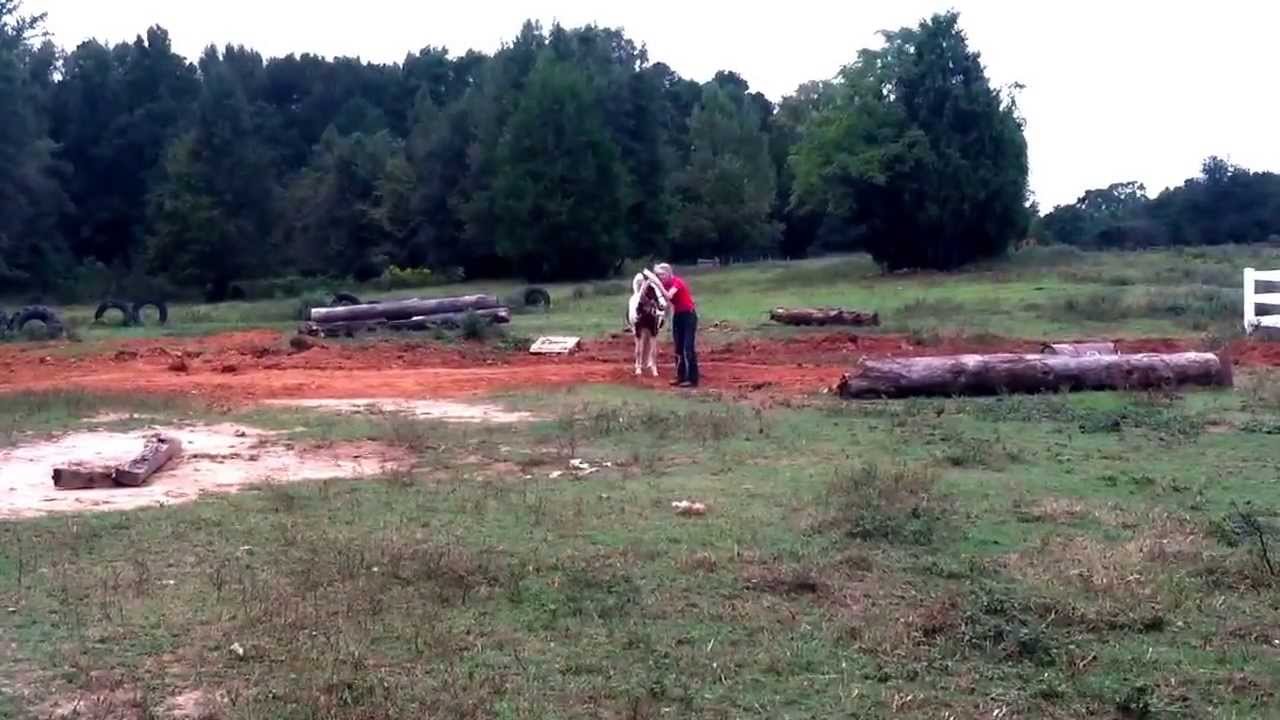 Oct 8, 2013 - YouTube