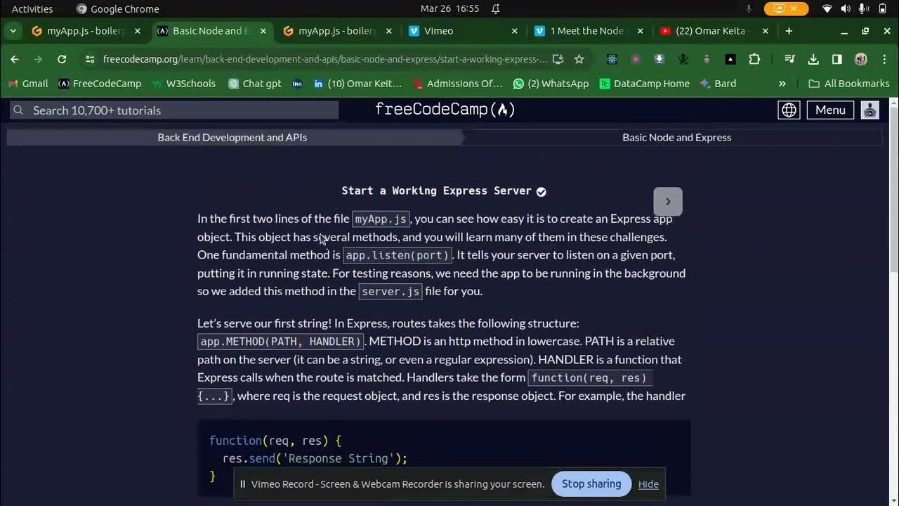 2 Start a Working Express Server - freeCodeCamp Backend development and APIs - YouTube
