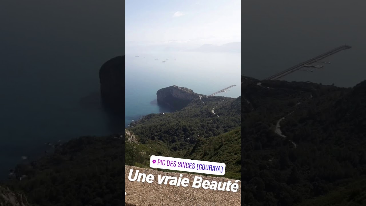 Pic des singes Bejaia - YouTube