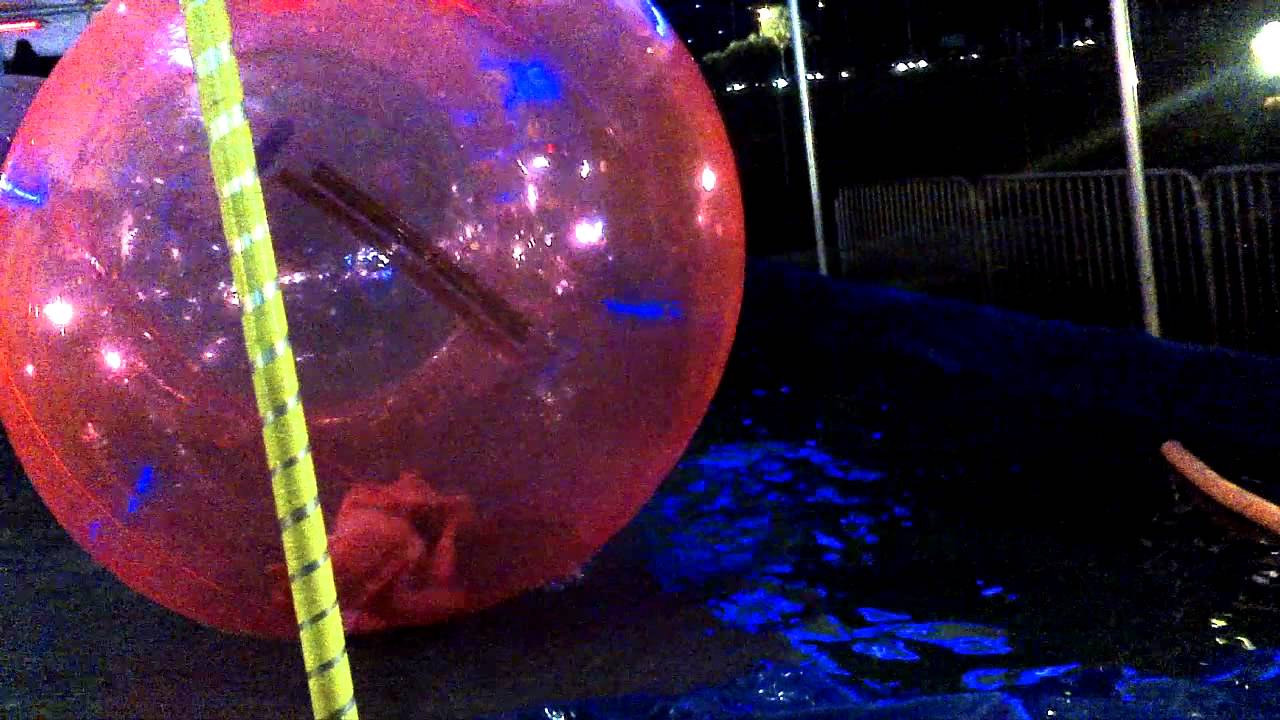 s florida fair hamster - YouTube