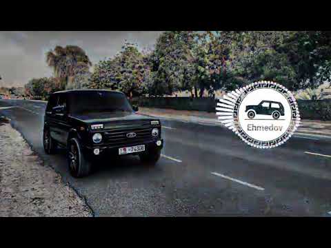 Azeri bass 2019 niva