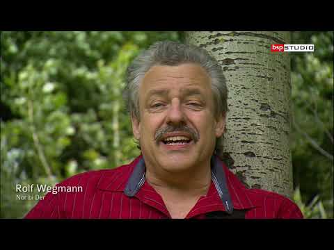 Rolf Wegmann - Nor met der 2016
