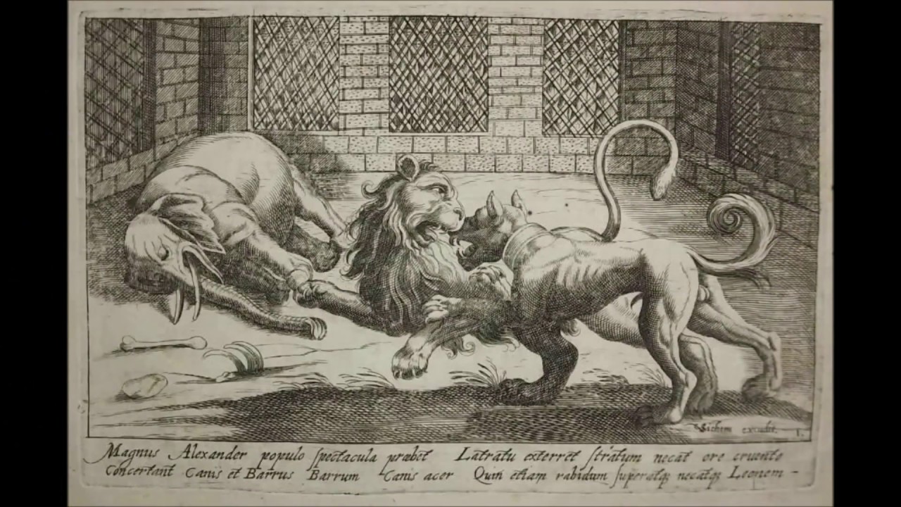 VENATIONES Antonio Tempesta / Christoffer van Sichem - Grabados de caza ...