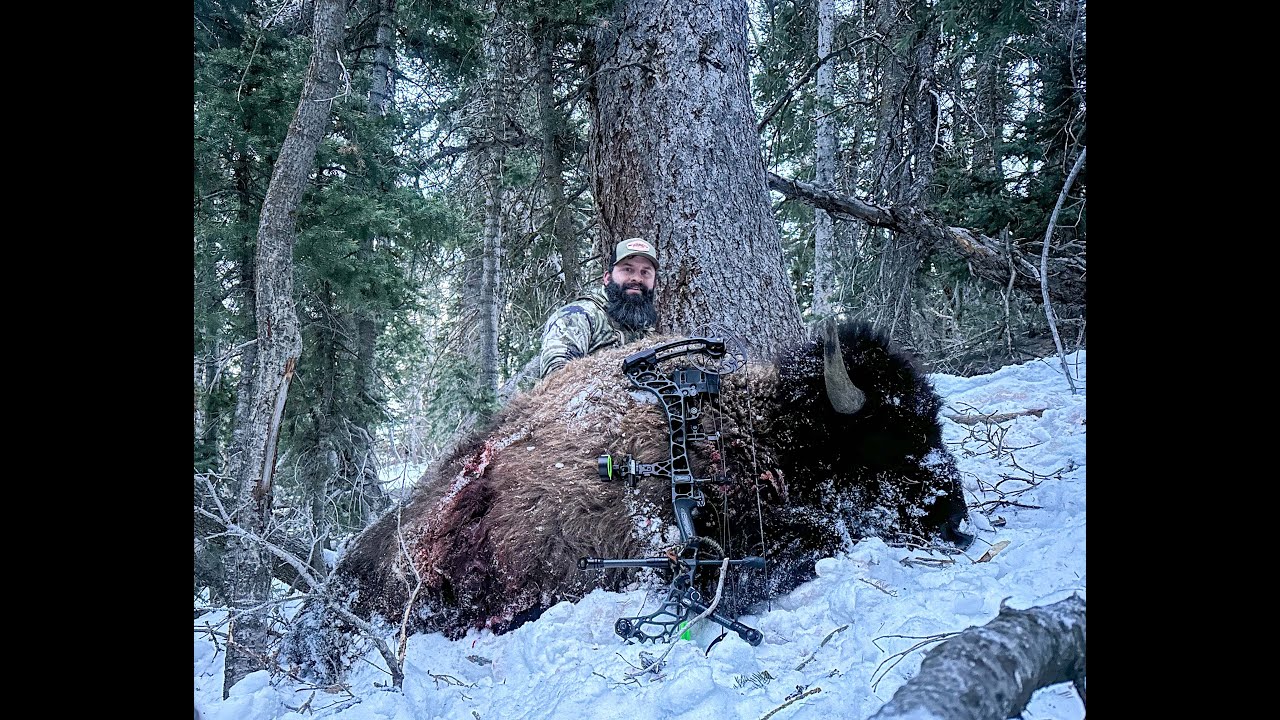 Above The Clouds: Once In A Lifetime Utah Archery Bison Hunt - YouTube