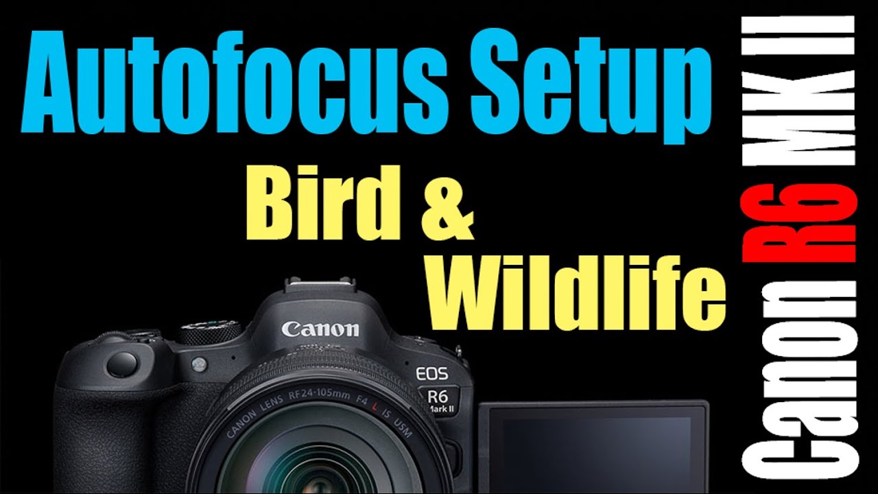Canon R6 MK II Autofocus Setup And Button Layout For Bird And