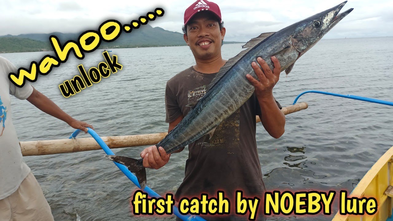 CATCH and KILAW... TANIGUE, fish unlock (by NOEBY) - YouTube