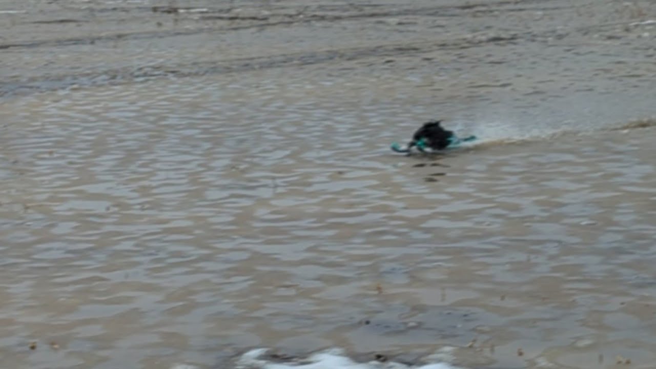 alpha-6 rc snowmobile deep water skipping - YouTube