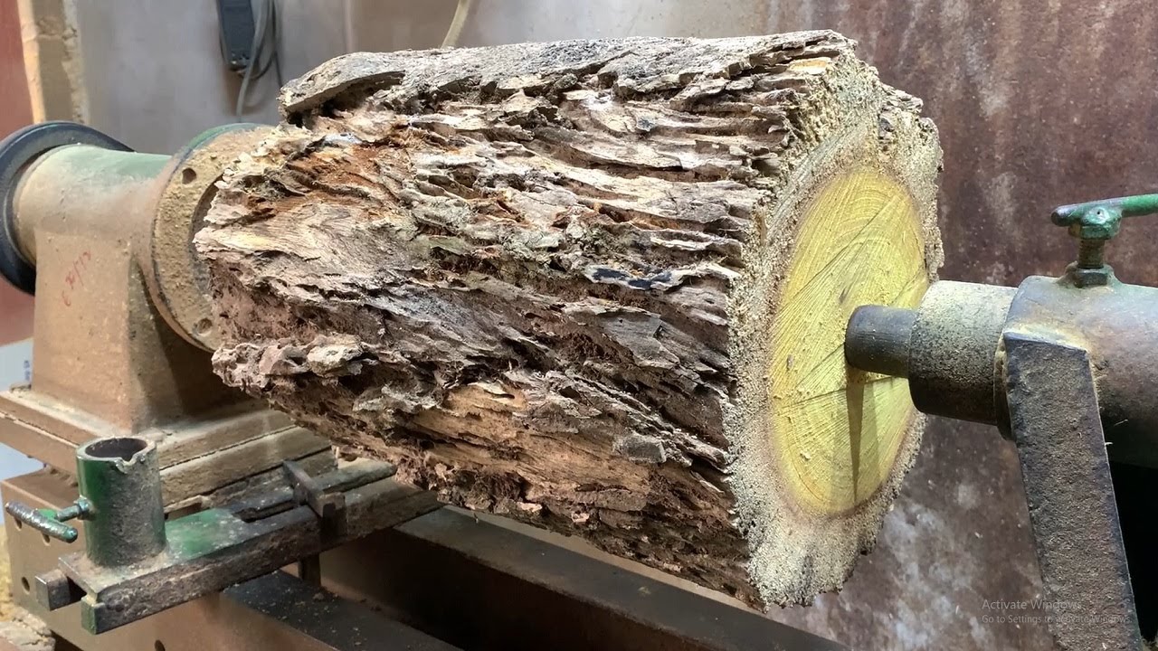 Extremely Fast Wood Cutting Technique Treasure Inside Rotten Logs Wood ...