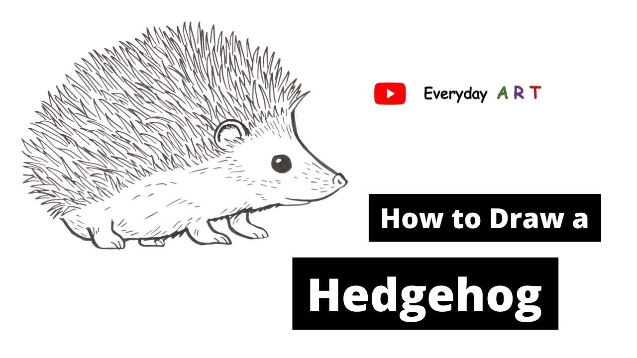 Art 050 - How to Draw a Hedgehog - Easy Tutorial and Simple Drawing ...