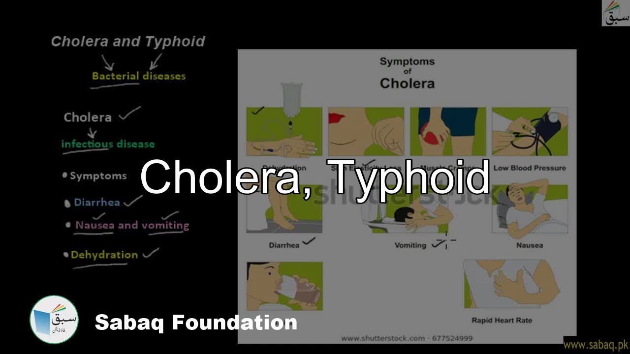 Cholera, Typhoid, Biology Lecture | Sabaq.pk - YouTube