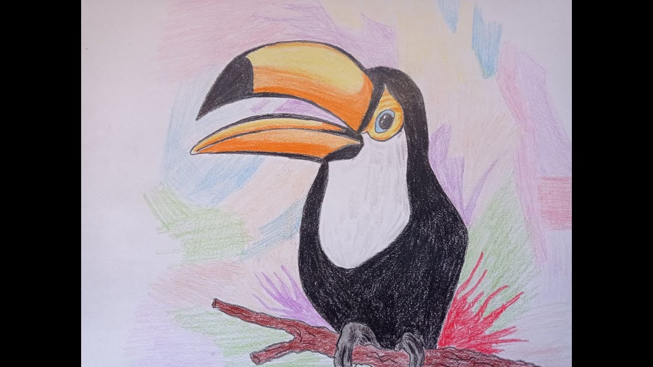 Drawing a Toucan with pencils: part two - YouTube