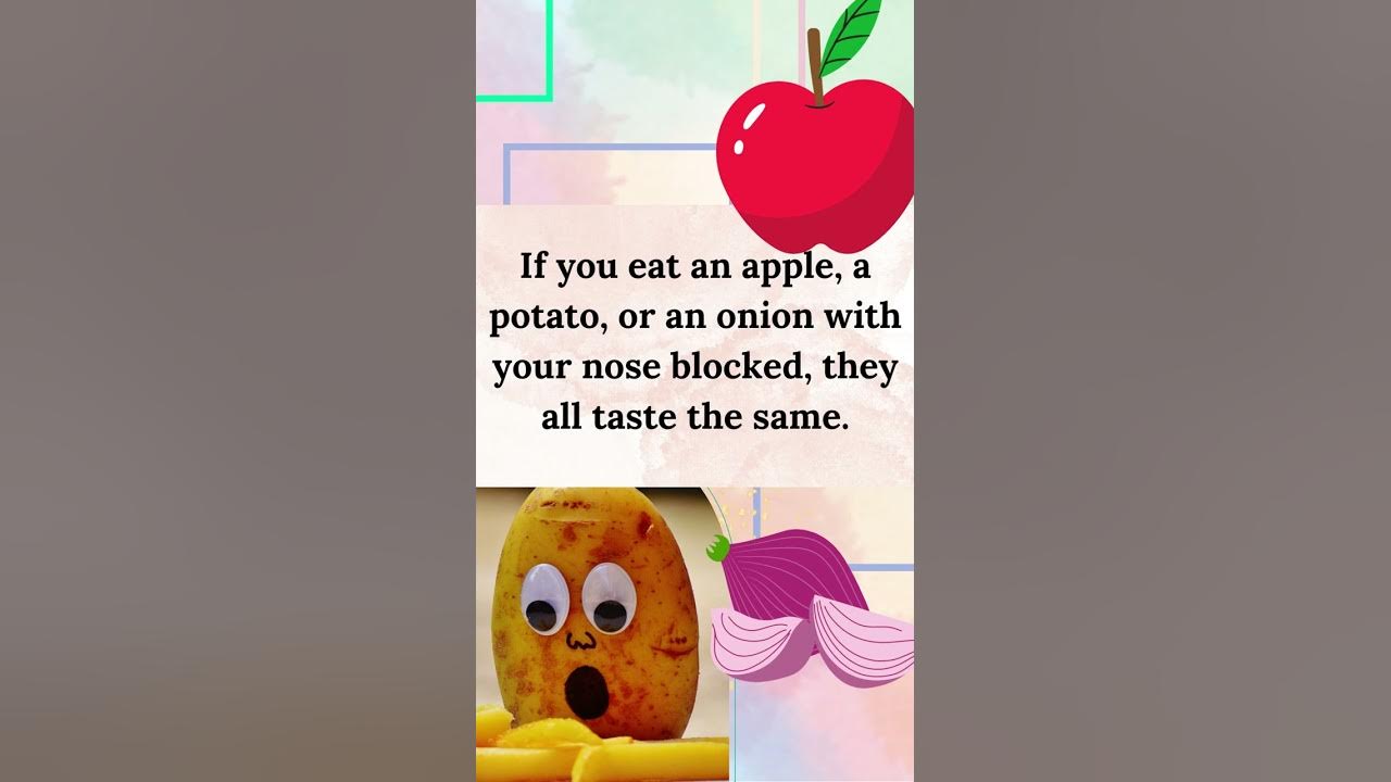 Top 10 Random Fun Facts YouTube top-10-random-fun-facts-youtube