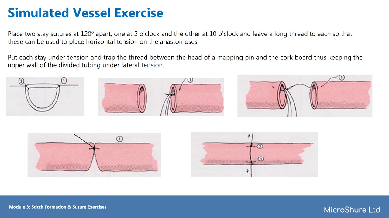 MicroShure Microsurgery: Module 3 Stitch Formation & Suture Exercises ...