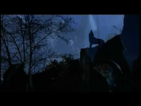 tatanka-indian spirit