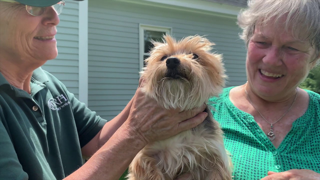 SRH Veterinary Services - YouTube