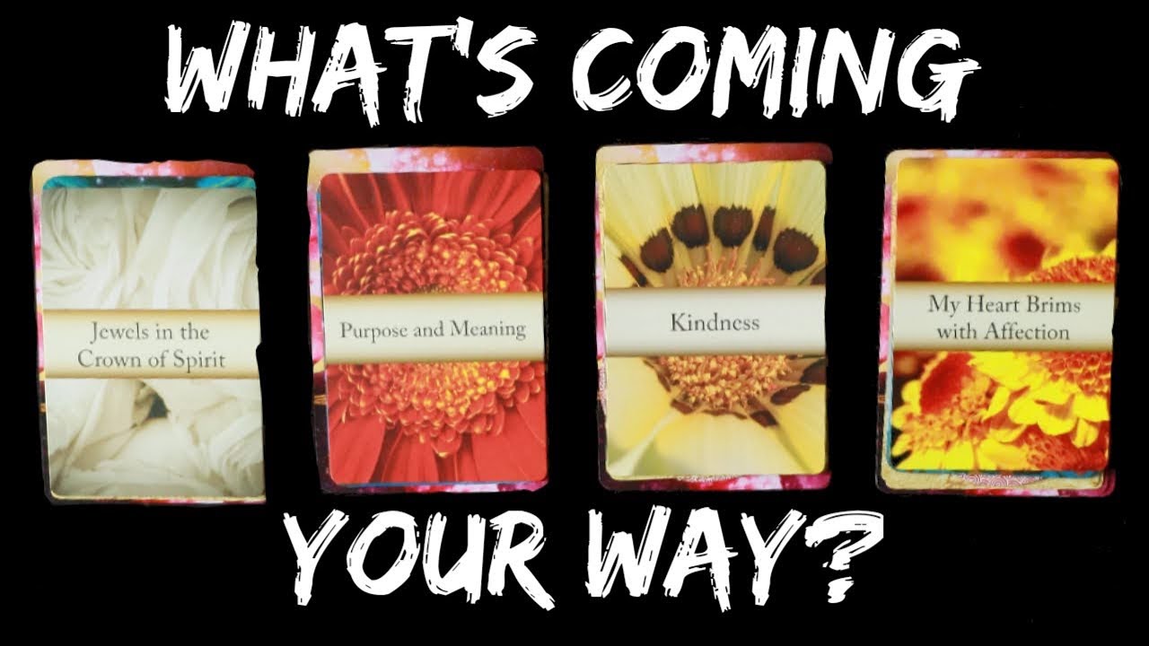 What's coming your way? Pick a Card Reading 🥰🦋 - YouTube