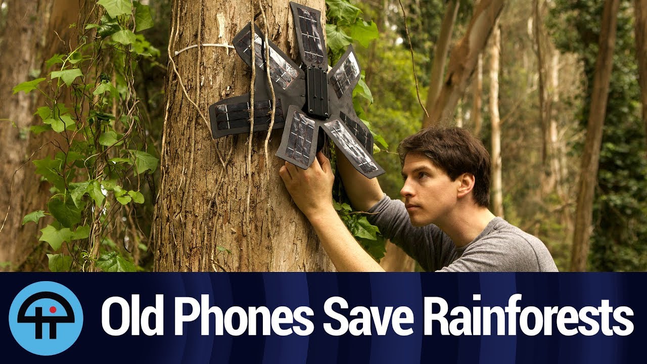 Saving Rainforests with Old Smartphones - YouTube