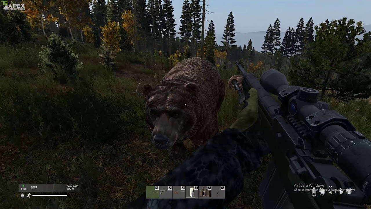 Dayz: Bear Encounter - YouTube