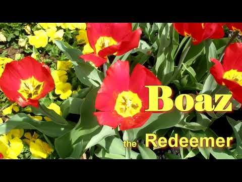 Boaz - YouTube