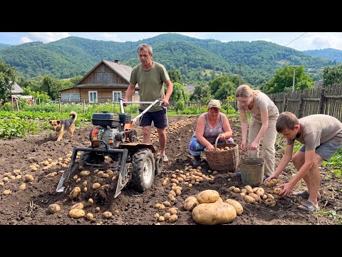 A Hard Life in a Forgotten Village | A Big Family Harvest